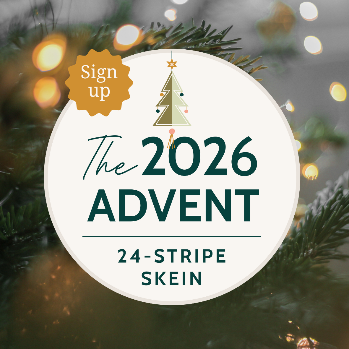 2026 ADVENT | 24-stripe skein – The Cozy Knitter Inc.